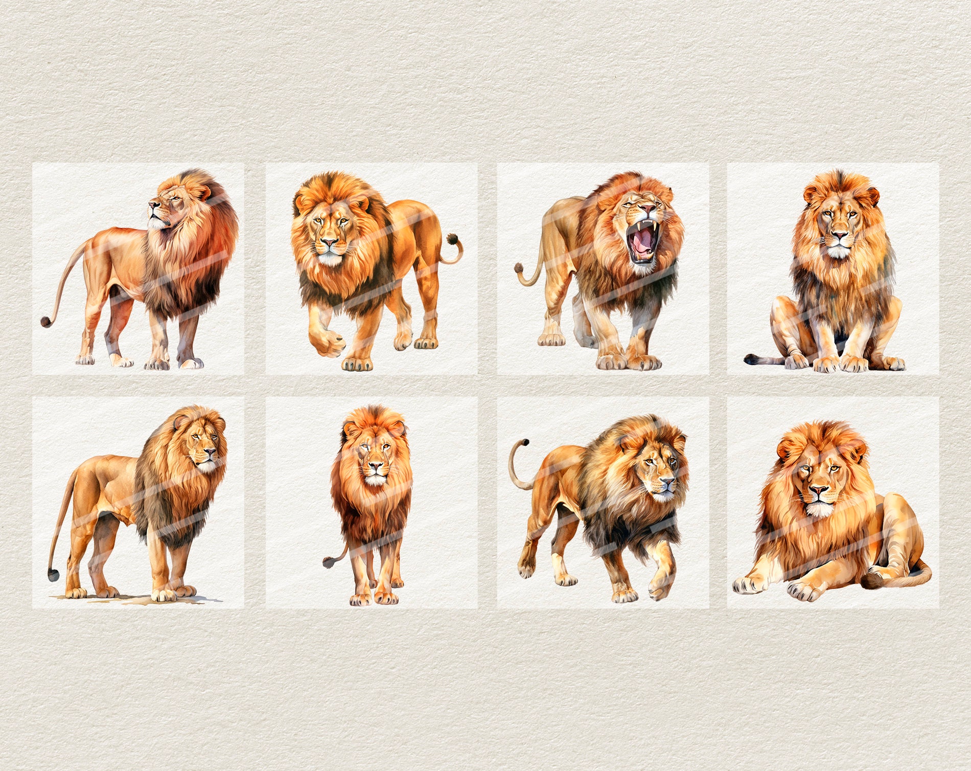 Watercolor Lions Clipart - Digital Illustration - Lion PNG - Commercial ...