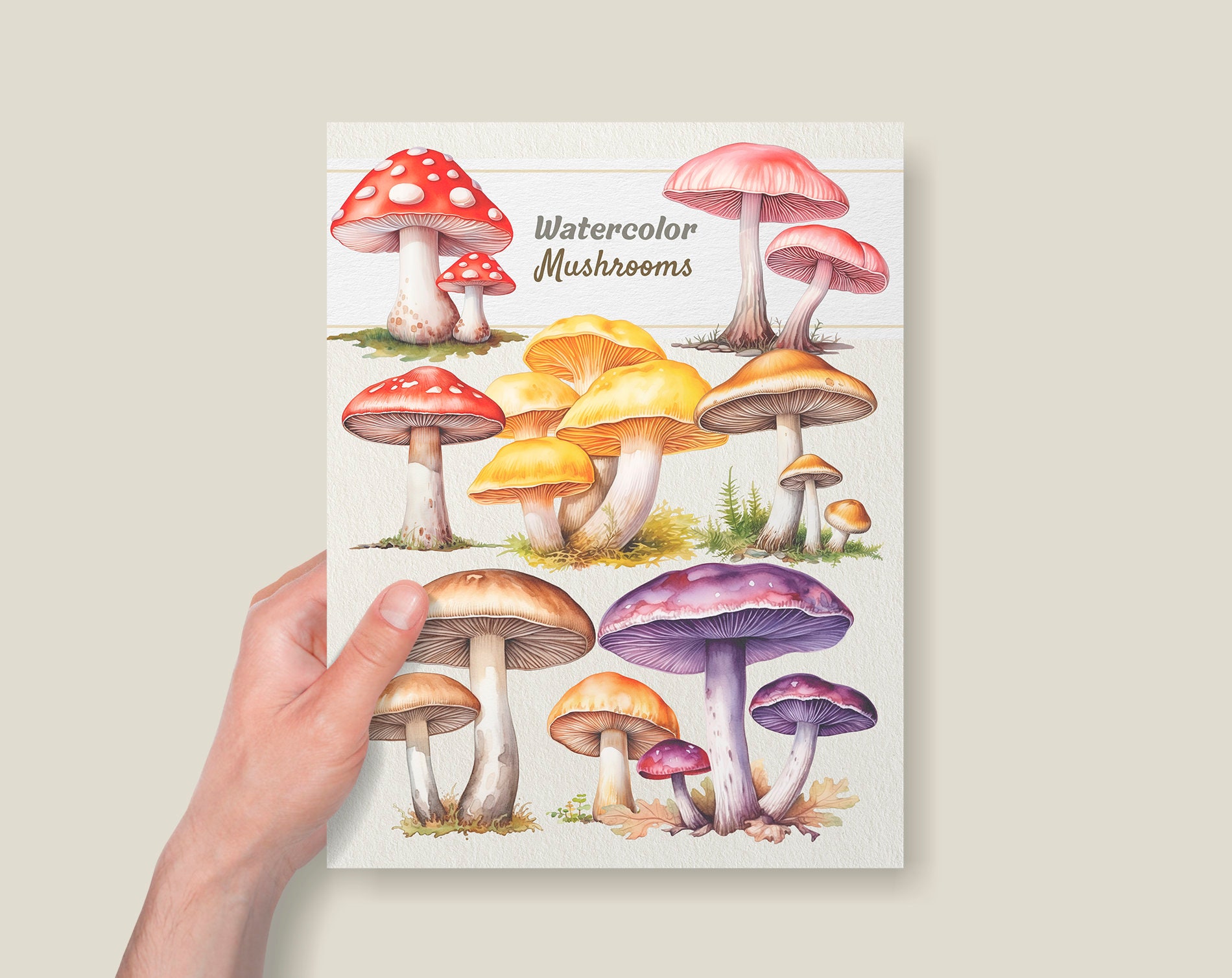 Watercolor Mushrooms Clipart Digital Illustration Fungus - Etsy