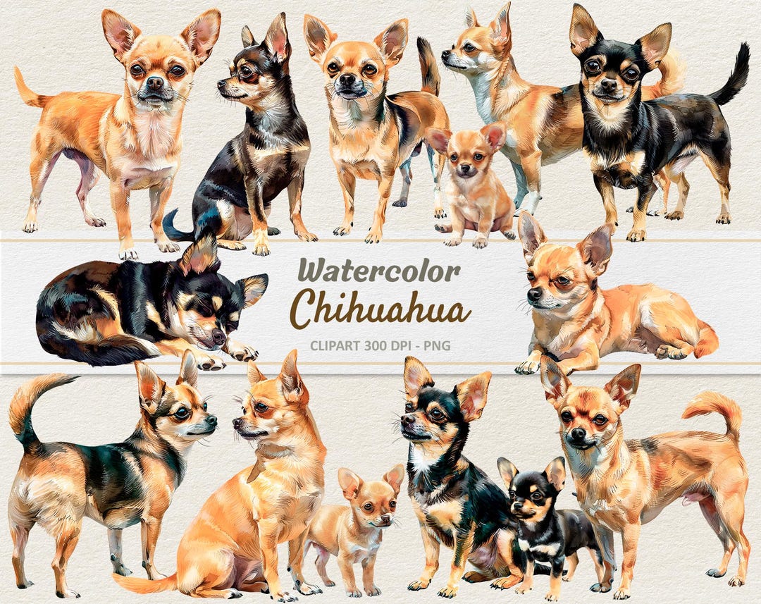 Watercolor Chihuahua Clipart - Digital Illustration Toy Dog - Pocket ...