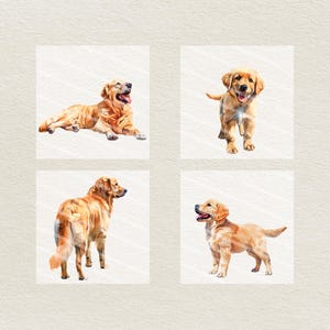 Watercolor Golden Retriever Clipart - Digital Illustration - Puppy Dog ...