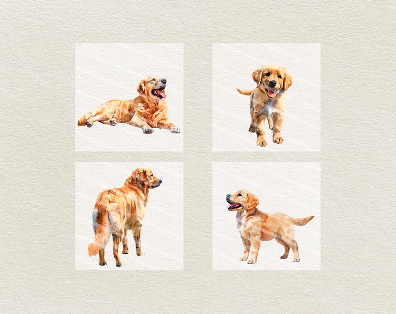 Watercolor Golden Retriever Clipart - Digital Illustration - Puppy Dog ...