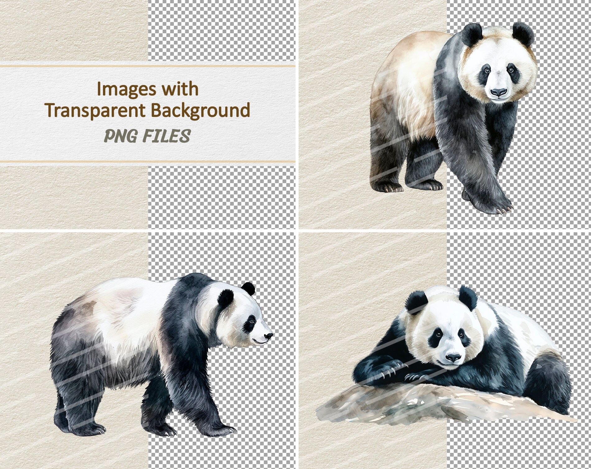 Watercolor Giant Panda Clipart Digital Illustration Panda Bear Png