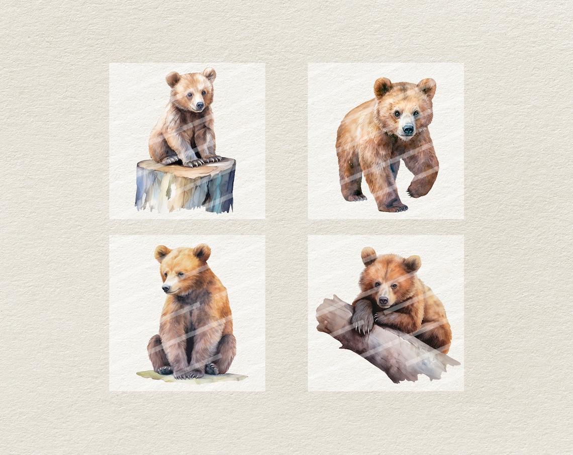 Watercolor Bear Clipart Digital Illustration Brown Bear - Etsy