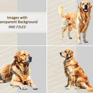 Watercolor Golden Retriever Clipart - Digital Illustration - Puppy Dog ...