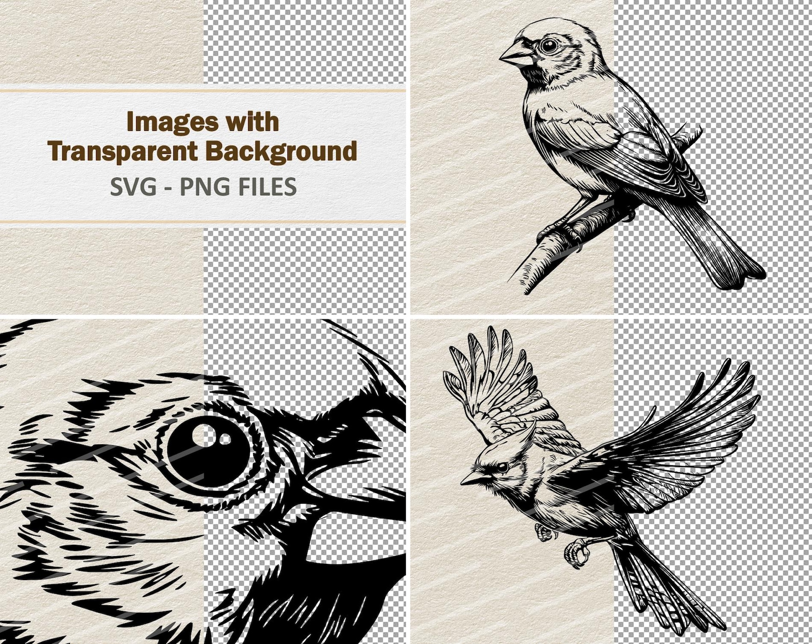 Vector Bird Clipart - Line Art Digital Illustration - Woodland Birds ...