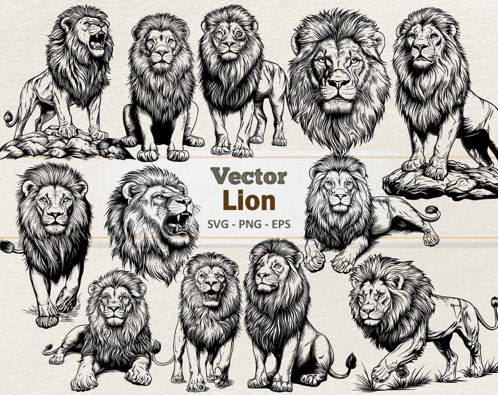 Vector Lion Clipart - Line Art Digital Illustration - Lion SVG PNG EPS ...