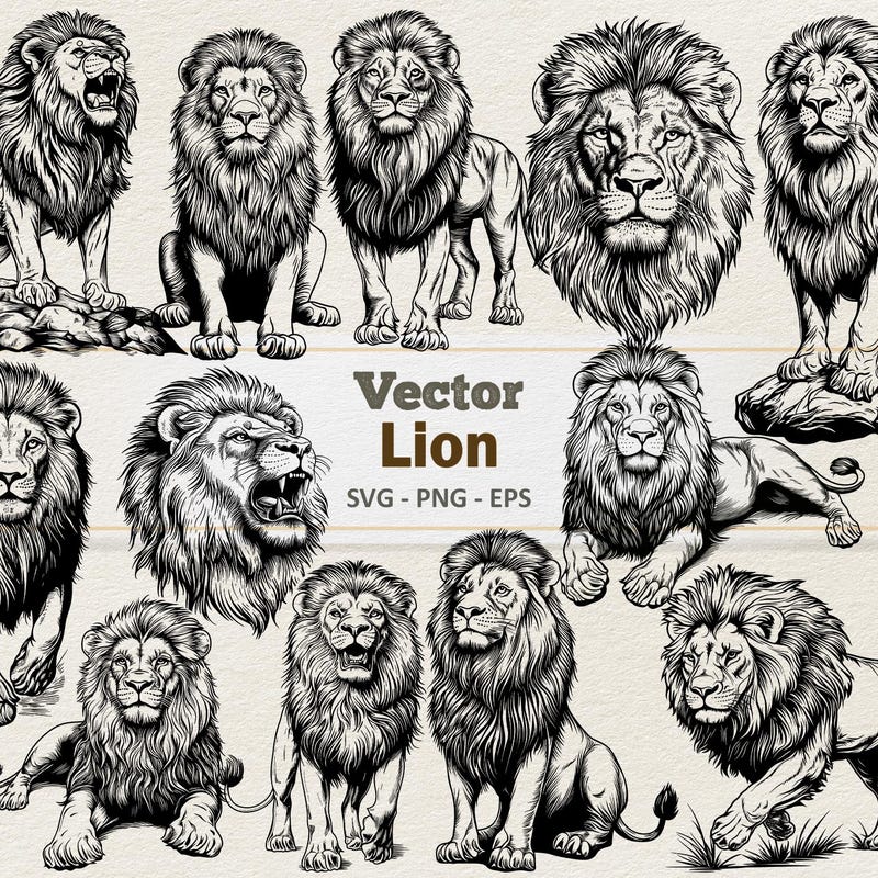 Lion Line Art - Etsy