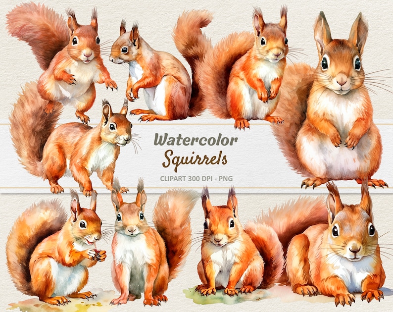 Watercolor Squirrels Clipart Digital Illustration Squirrel PNG ...