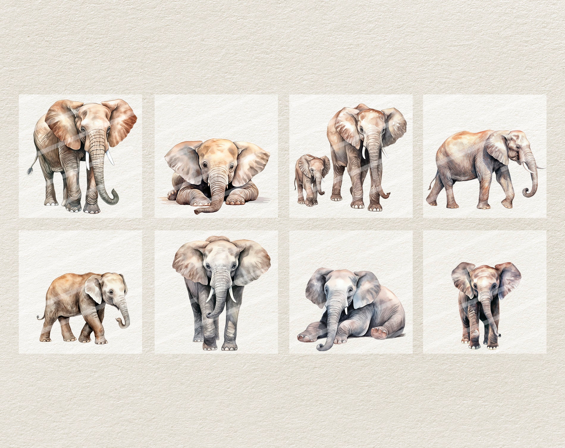 Watercolor Elephants Clipart - Digital Illustration - Baby Elephant PNG ...