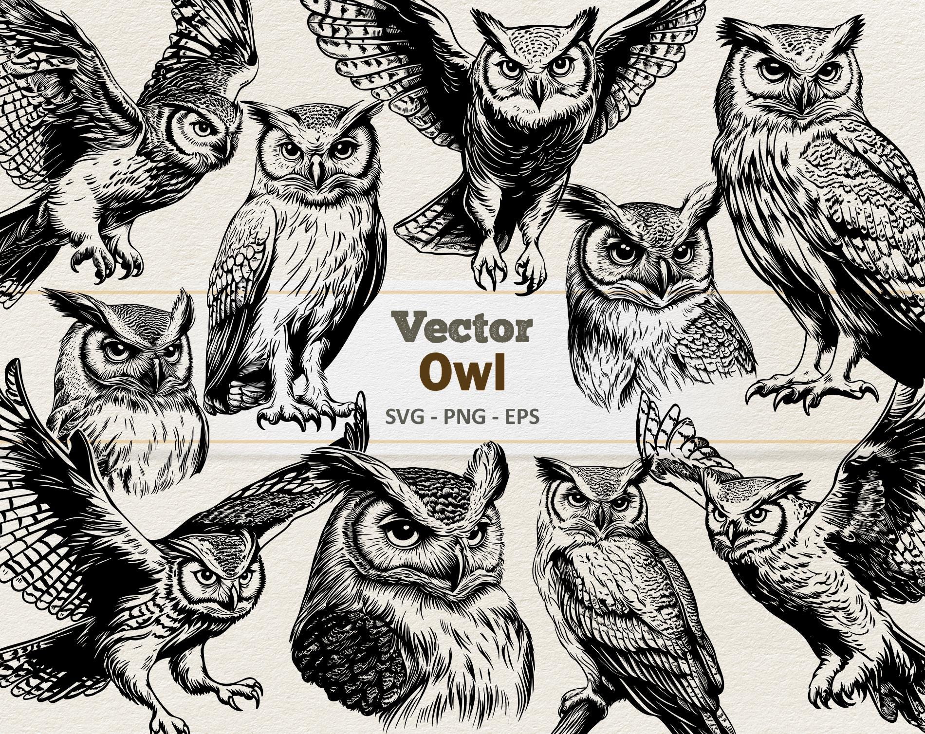 Vector Owl Clipart - Line Art Digital Illustration - Short Eared Owl ...