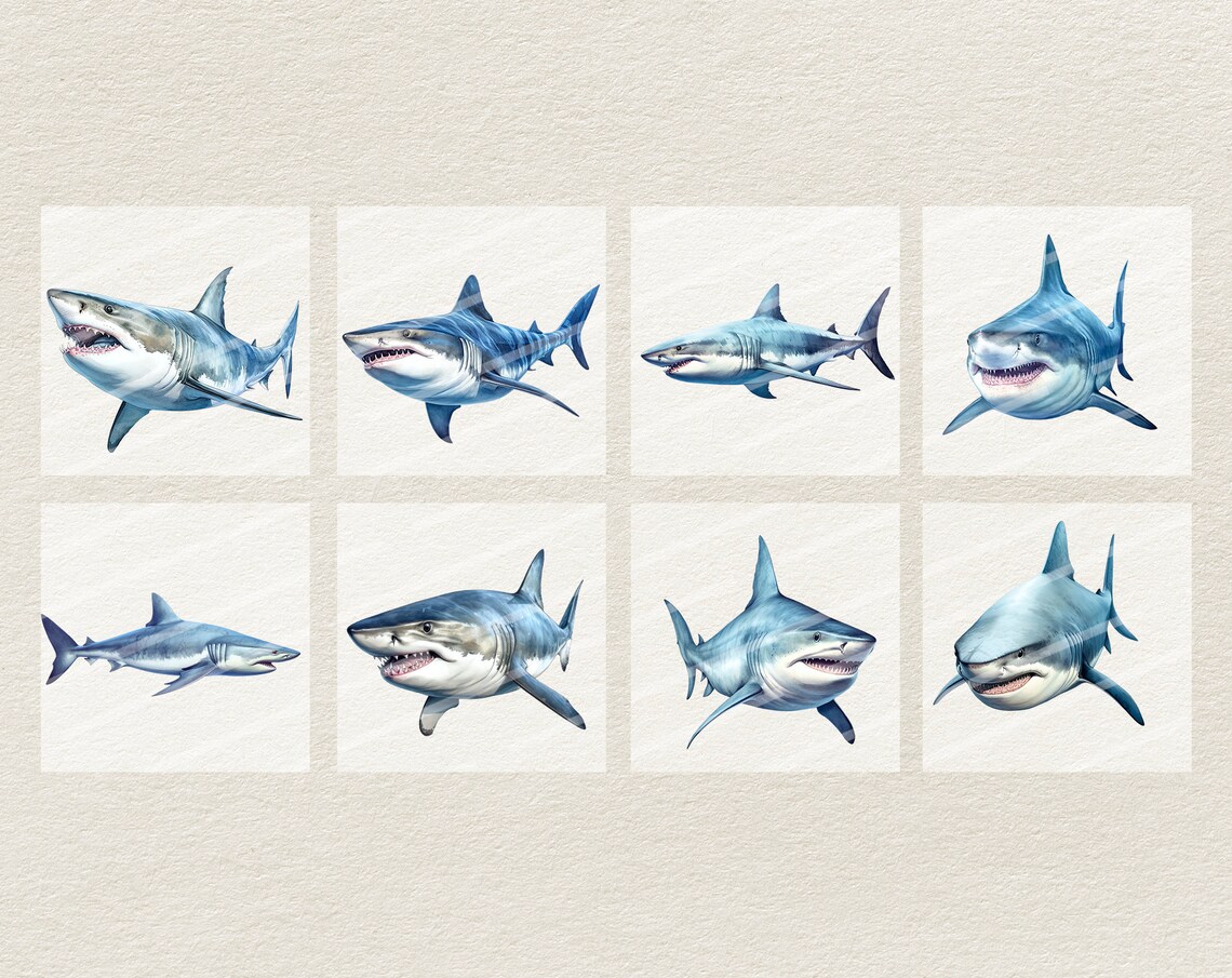 Watercolor Shark Clipart - Digital Illustration Sharks - Great White ...