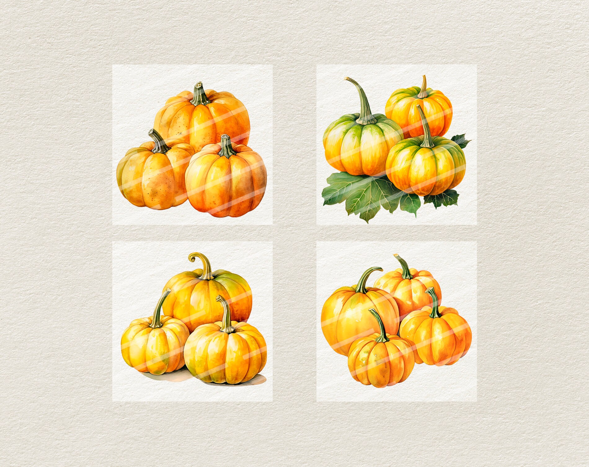 Watercolor Pumpkin Clipart - Digital Illustration - Pumpkin Halloween ...