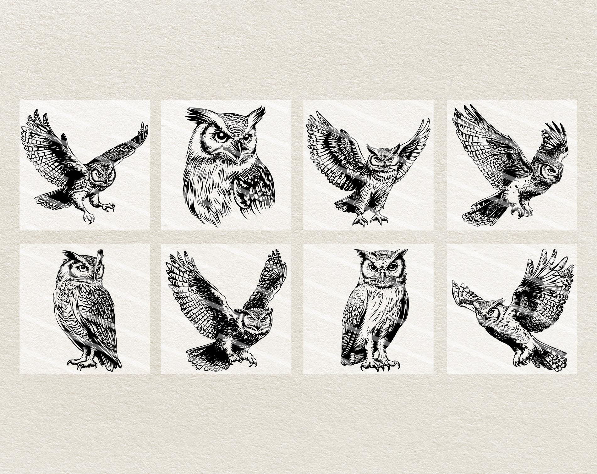 Vector Owl Clipart - Line Art Digital Illustration - Short Eared Owl ...