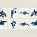 Watercolor Orca Clipart - Digital Illustration Killer Whale - Orcas PNG ...