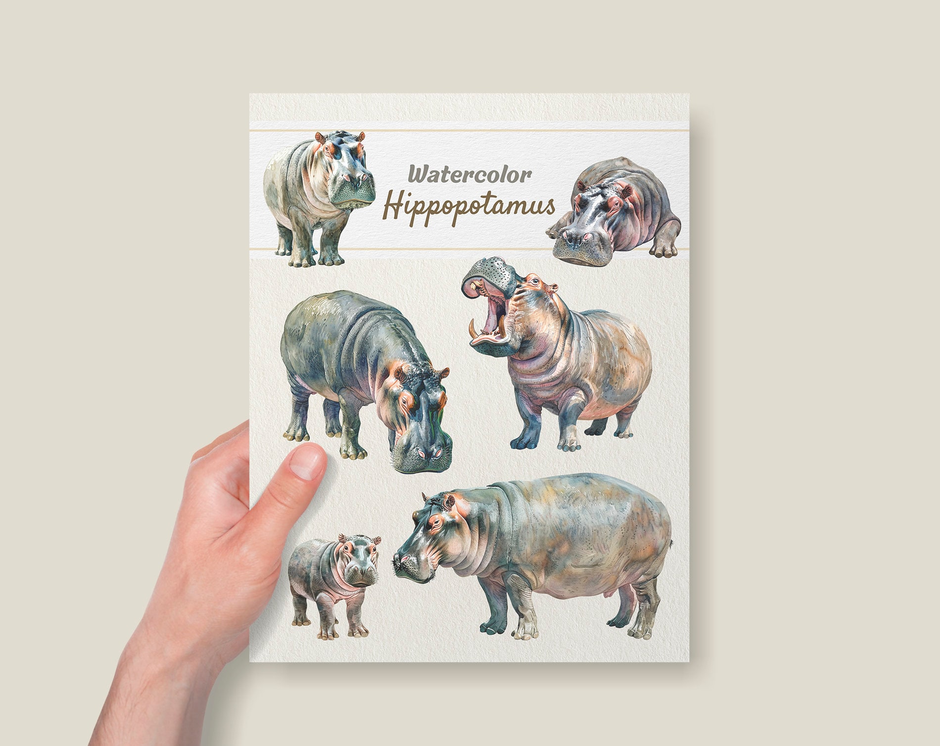 Watercolor Hippopotamus Clipart - Digital Illustration Hippo ...