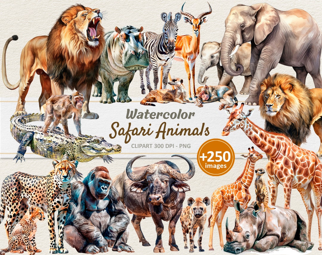 Watercolor Safari Clipart - Safari Animals Jungle Illustration - Baby ...