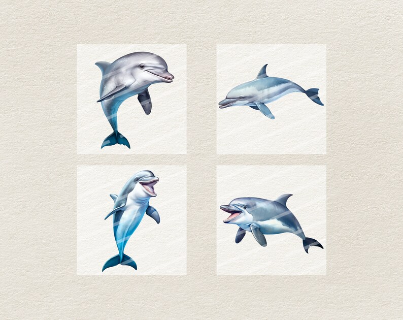 Watercolor Dolphin Clipart - Digital Illustration Dolphins - Bottlenose ...