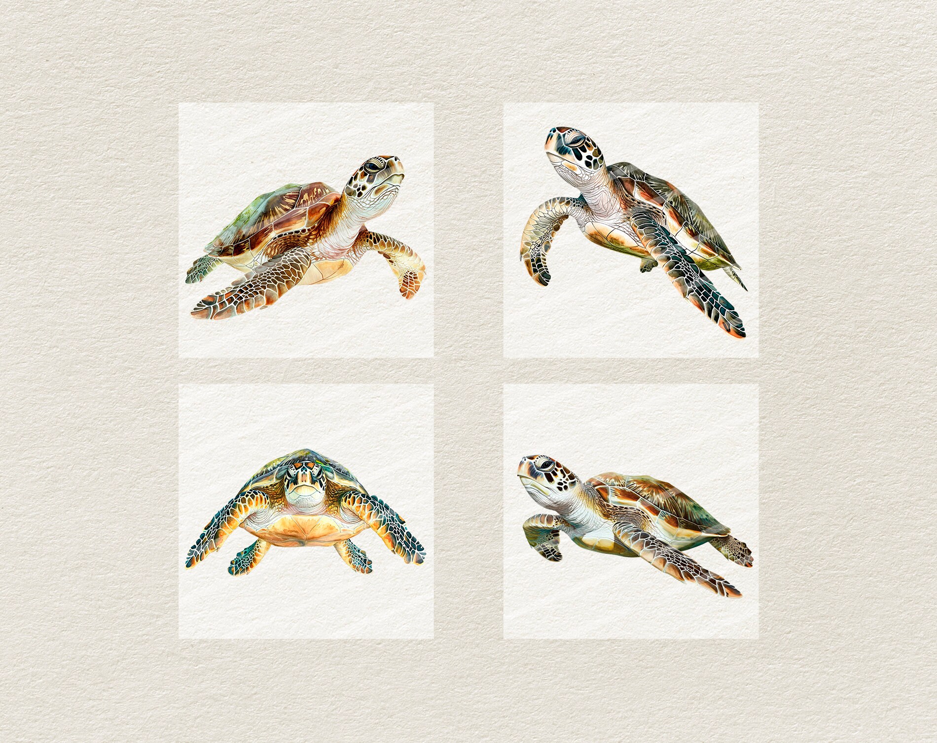 Watercolor Sea Turtle Clipart Digital Illustration Marine Turtles ...