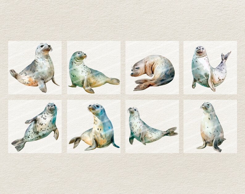 Watercolor Harbor Seal Clipart - Digital Illustration Common Seal ...