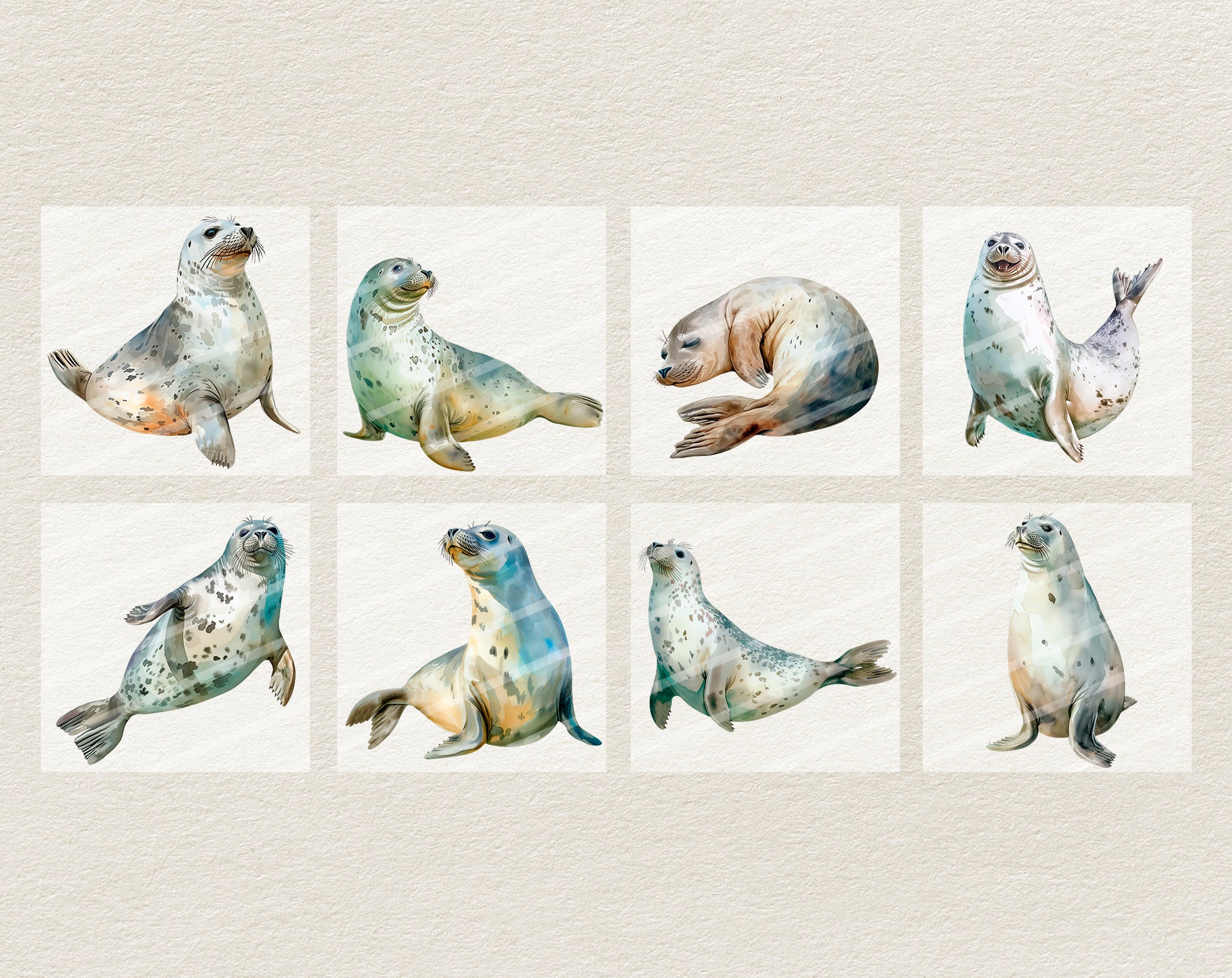 Watercolor Harbor Seal Clipart - Digital Illustration Common Seal ...