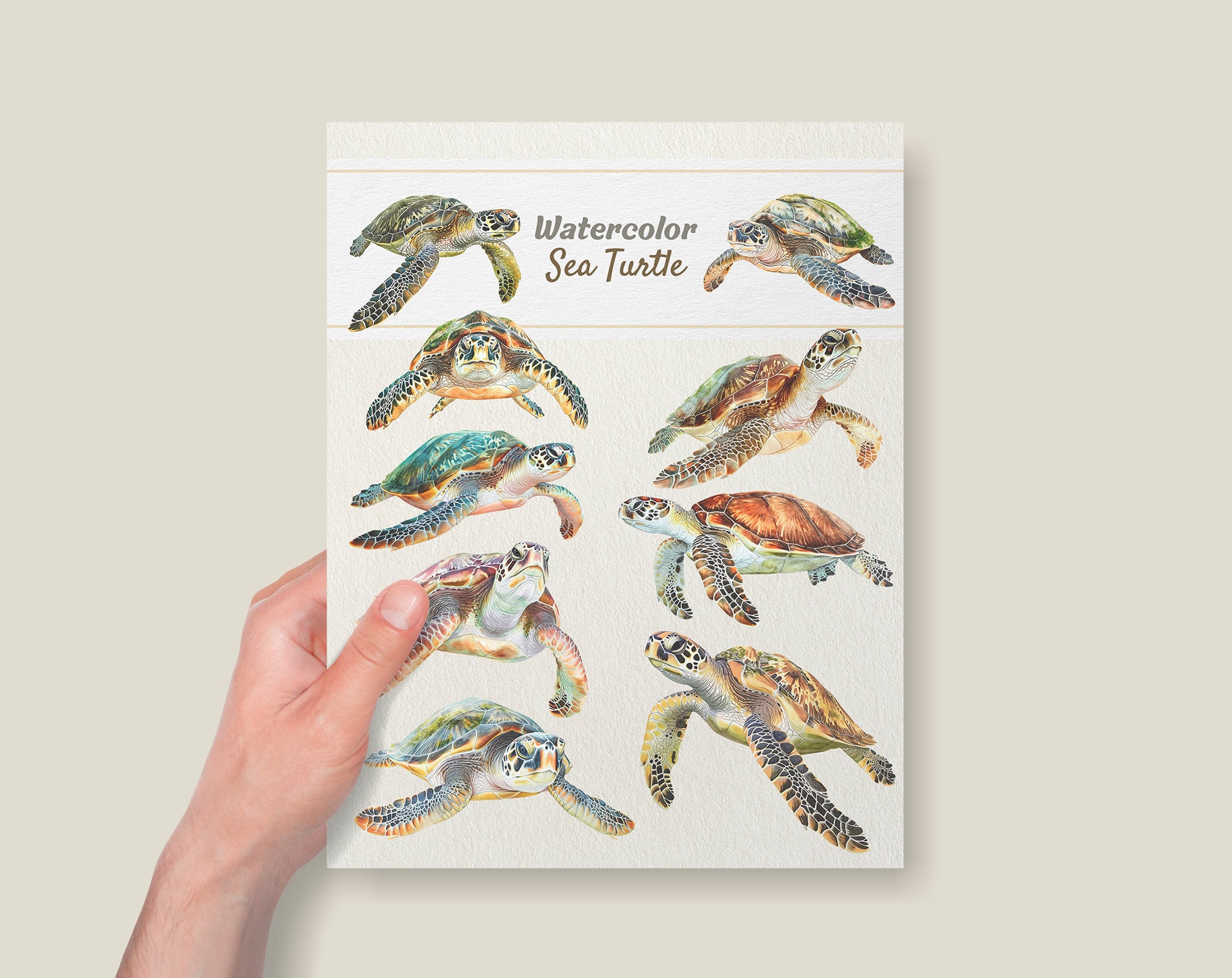 Watercolor Sea Turtle Clipart Digital Illustration Marine Turtles ...