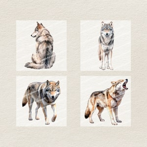 Watercolor Wolf Clipart - Digital Illustration Wolves - Wolf PNG ...