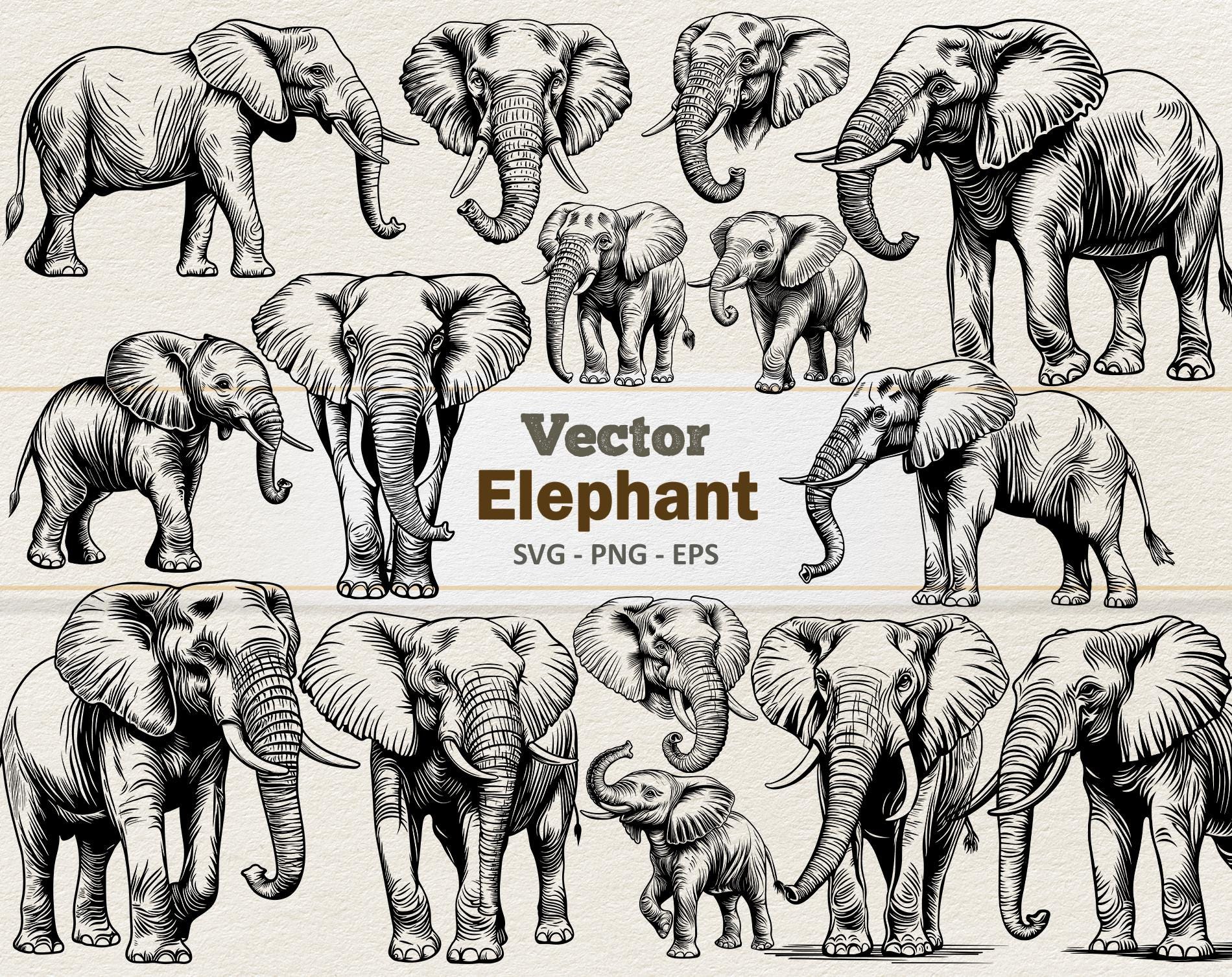 Vector Elephant Clipart - Line Art Digital Illustration - Elephant SVG ...