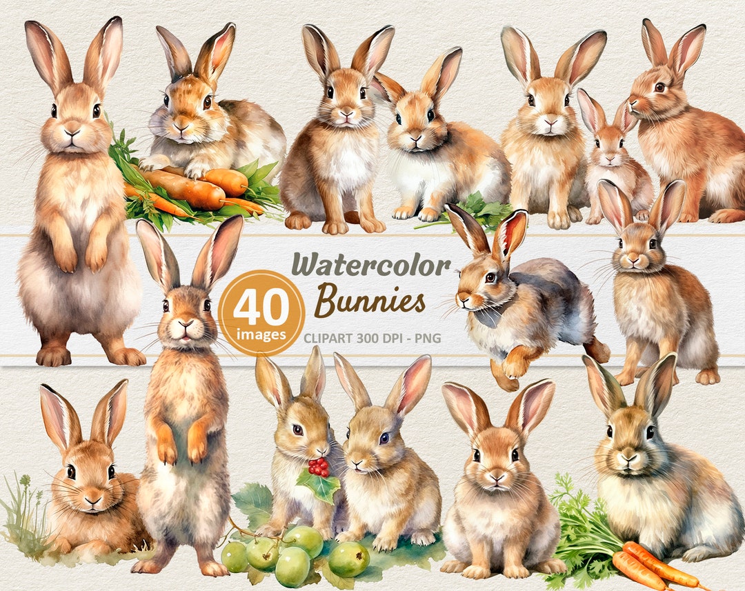 Watercolor Bunnies Clipart Bundle - Digital Illustration Bunny - Rabbit ...