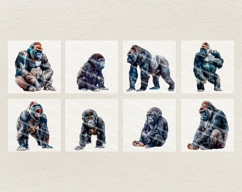 Watercolor Gorilla Clipart Digital Illustration Great Ape Silverback ...