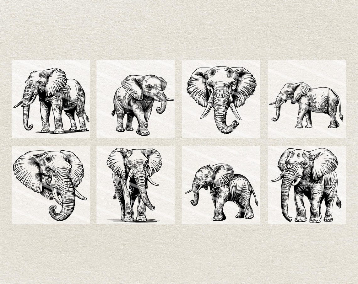Vector Elephant Clipart - Line Art Digital Illustration - Elephant SVG ...