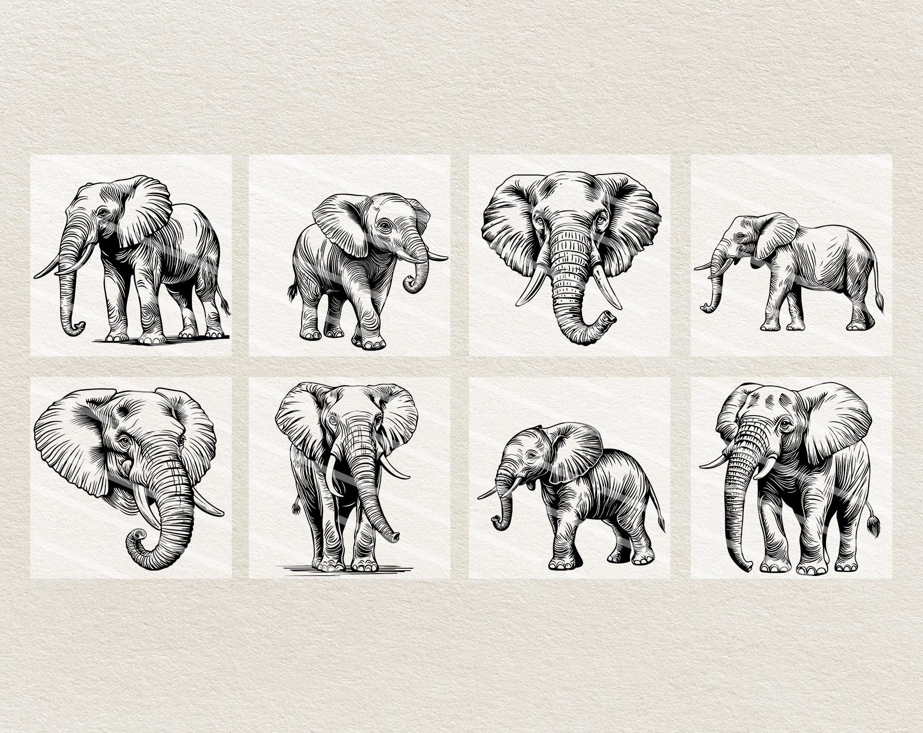 Vector Elephant Clipart - Line Art Digital Illustration - Elephant SVG ...
