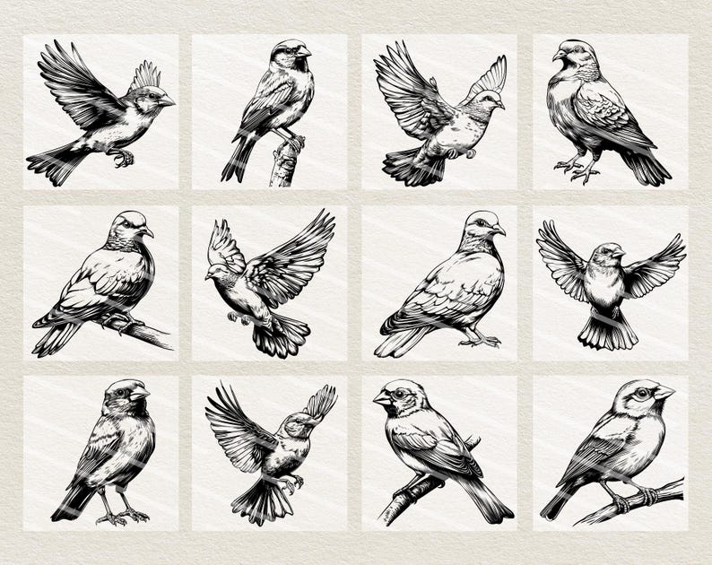Vector Bird Clipart - Line Art Digital Illustration - Woodland Birds ...
