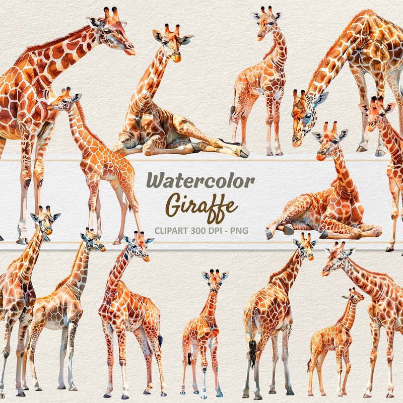 Giraffe Zoo Clipart - Etsy