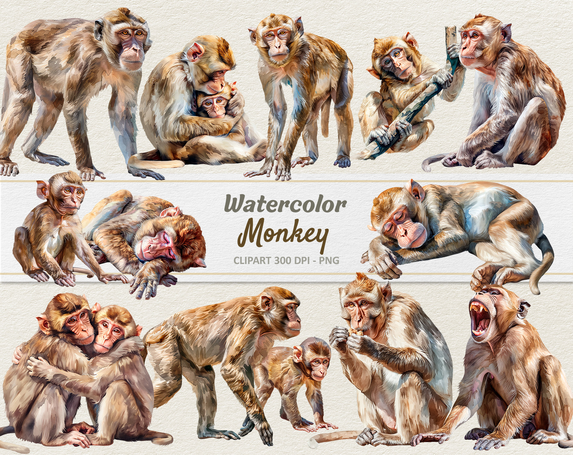 Watercolor Monkey Clipart Digital Illustration Macaque Baby Monkey PNG ...