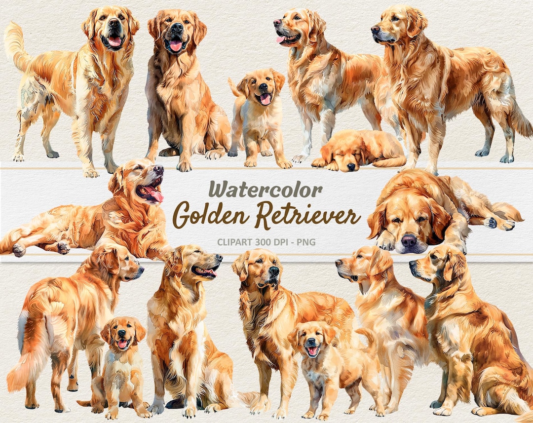 Watercolor Golden Retriever Clipart - Digital Illustration - Puppy Dog ...