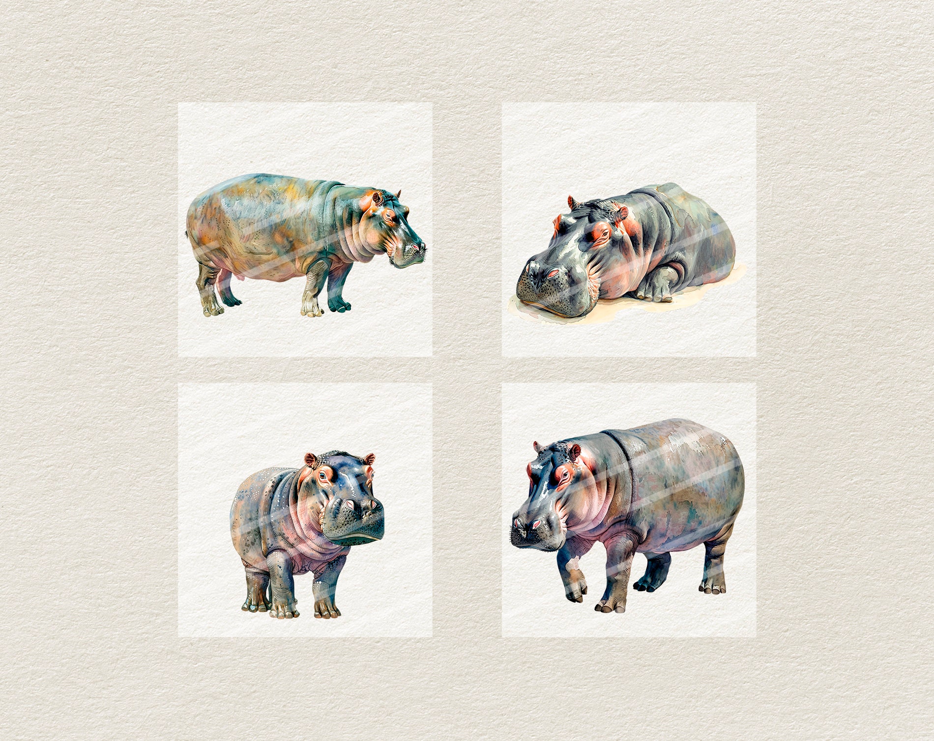 Watercolor Hippopotamus Clipart Digital Illustration Hippo Hippopotamus ...