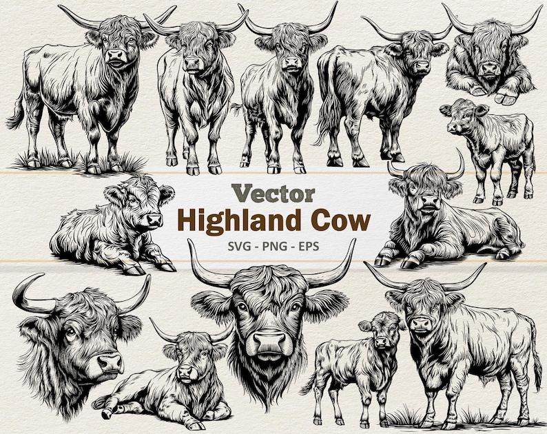 Vector Highland Cow Clipart - Line Art Digital Illustration - Highland ...