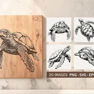 Vector Sea Turtle Clipart - Line Art Digital Illustration - Marine ...