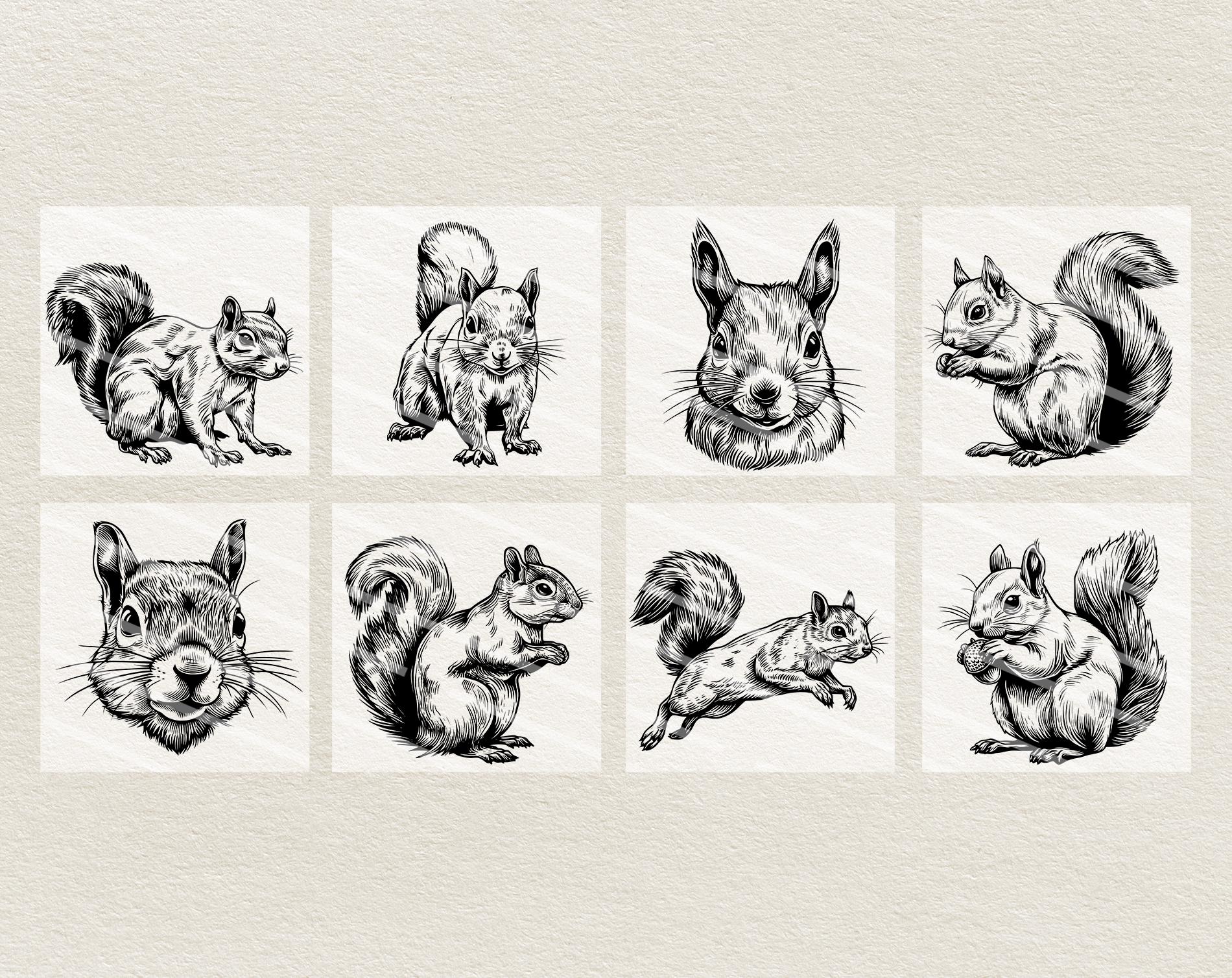 Vector Squirrel Clipart - Line Art Digital Illustration - Forest Rodent ...