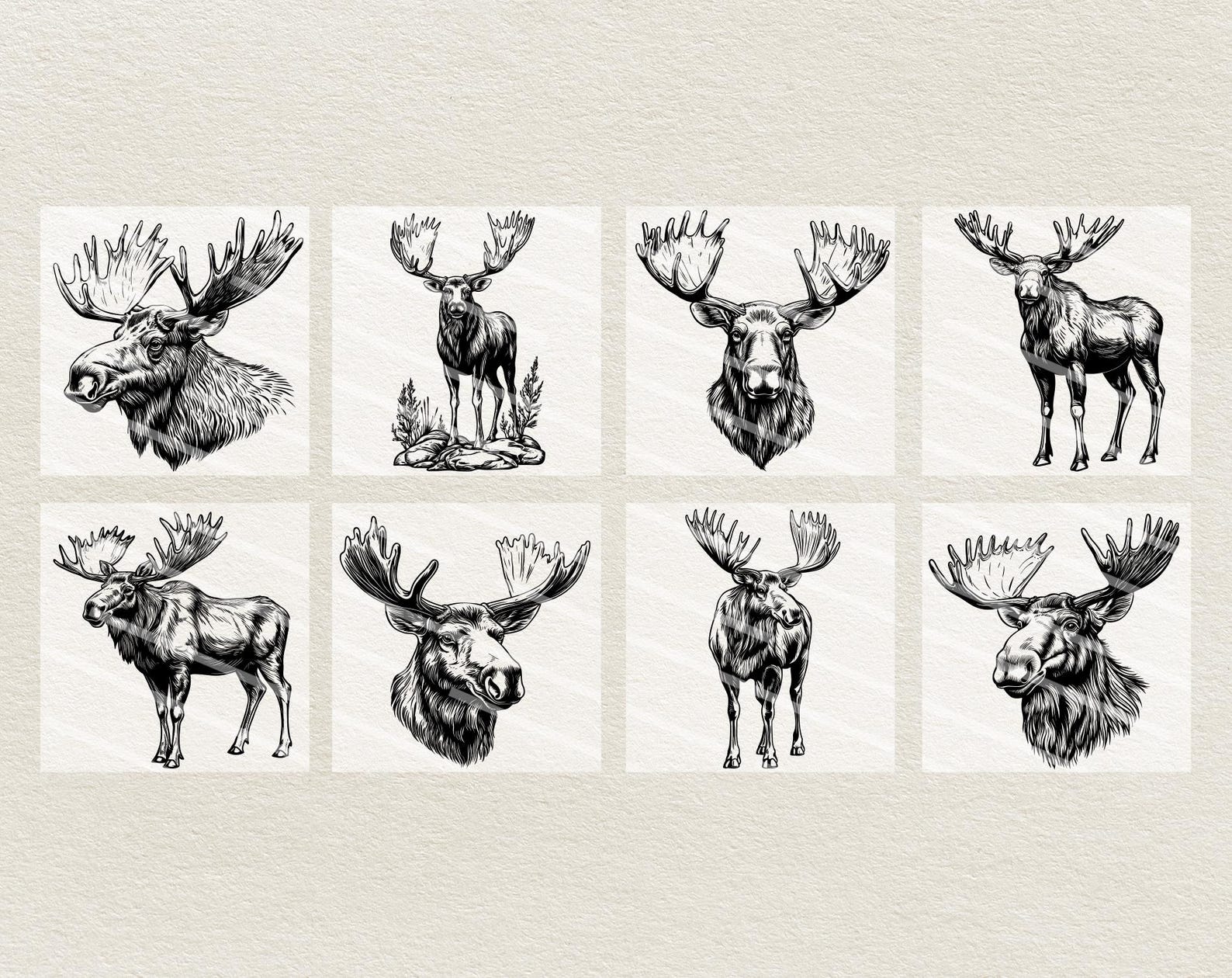 Vector Moose Clipart - Line Art Digital Illustration - Elk Alces SVG ...
