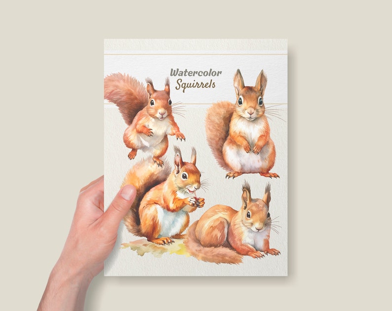 Watercolor Squirrels Clipart Digital Illustration Squirrel PNG ...