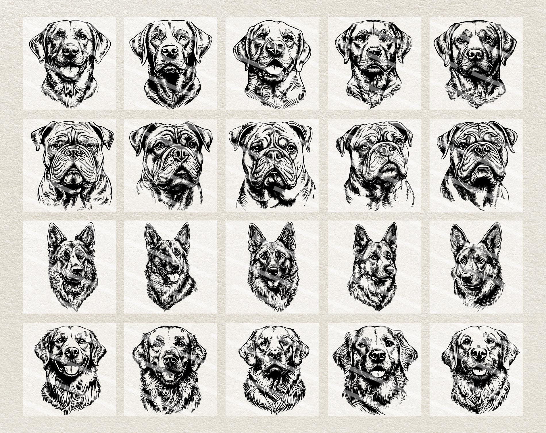Vector Dog Heads Clipart - Line Art Digital Illustration - Breeds ...
