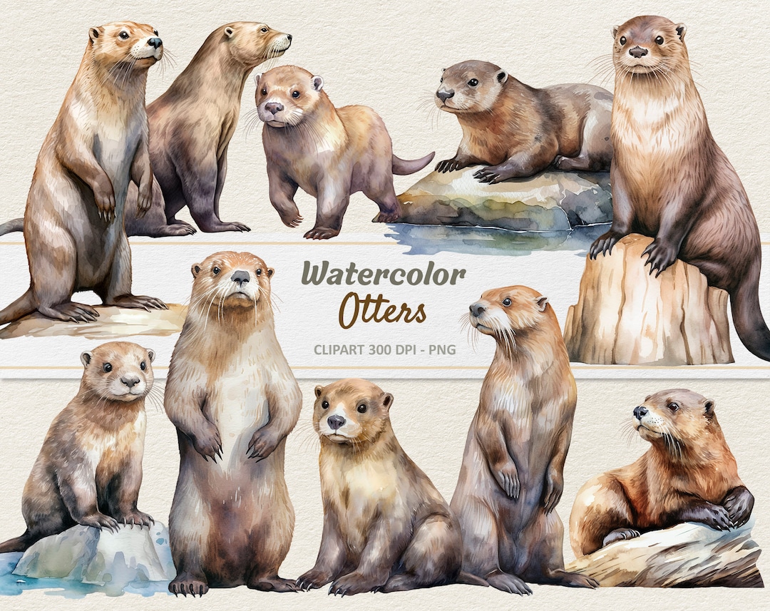 Watercolor Otter Clipart - Digital Illustration - Baby Otters PNG ...