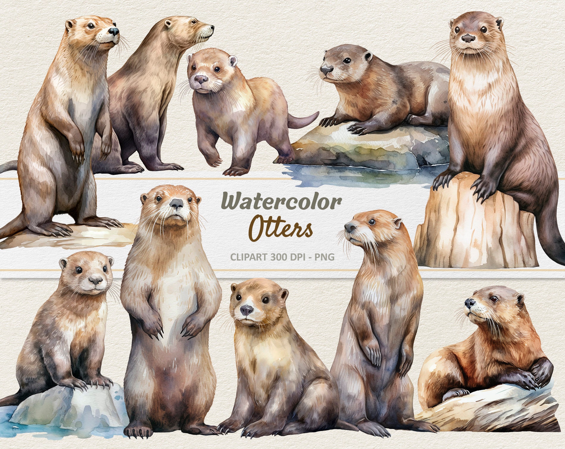 Watercolor Otter Clipart - Digital Illustration - Baby Otters PNG ...