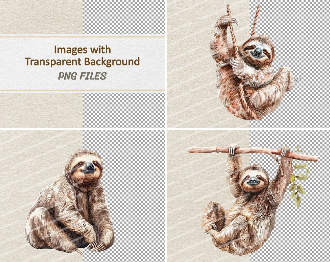 Watercolor Sloth Clipart Digital Illustration Threetoed Sloths PNG ...