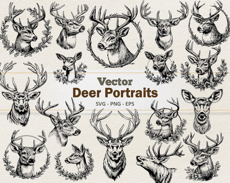 Vector Deer Portraits Clipart - Line Art Digital Illustration - Buck ...