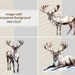 Watercolor Reindeer Clipart - Digital Illustration - Caribou Deer PNG ...