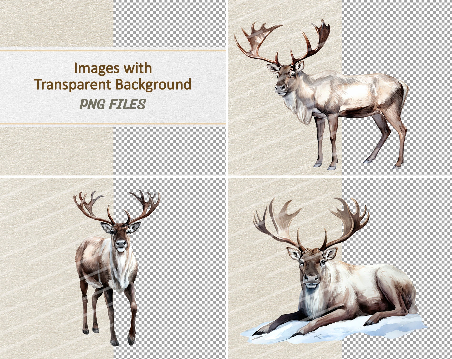 Watercolor Reindeer Clipart - Digital Illustration - Caribou Deer PNG ...