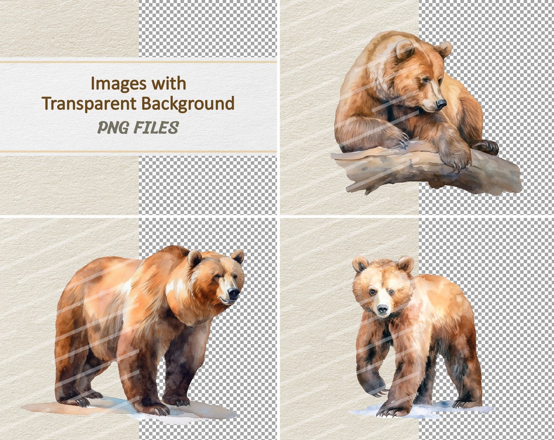 Watercolor Bear Clipart Digital Illustration Brown Bear - Etsy