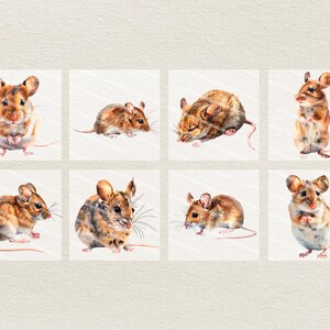 Watercolor Mouse Clipart - Digital Mice Illustration - Rodent PNG ...